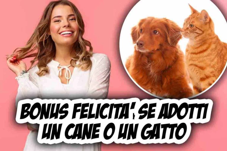 Bonus felicità se adotti un cane o un gatto: un sacco di soldi per ...
